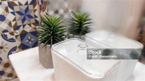 콘크리트 화분과 패턴이 있는 세라믹 타일이 있는 미니멀한 욕실 장식 복잡한 기하학적 타일 패턴과 함께 콘크리트 화분에 담긴 녹색 식물이 특징인 세련되고 현대적인 설정입니다