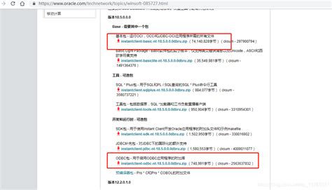 通过odbc连接oracle Csdn博客
