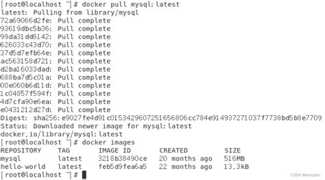 Docker安装mysql（附docker虚拟机环境）docker 安装mysql 指定server Id Csdn博客