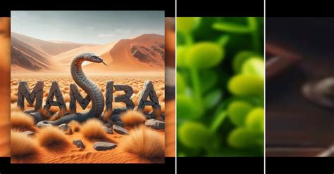 List 🐍 Mamba State Space Models For Images Videos And Time Series Curated By Sascha Kirch Medium