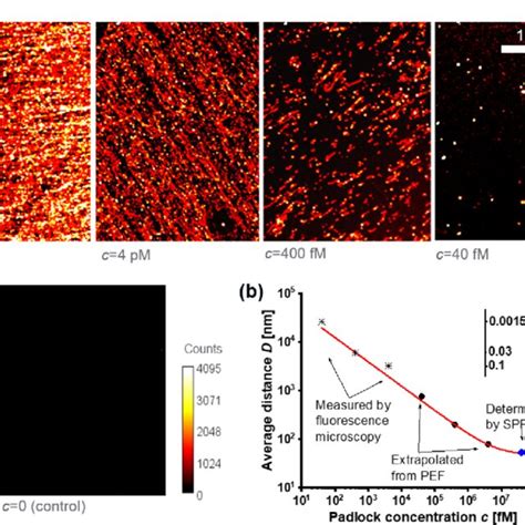 A Fluorescence Microscopy Observation Of The Fluorescence Signal From Download Scientific