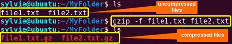 The Gzip Command In Linux Practical Examples