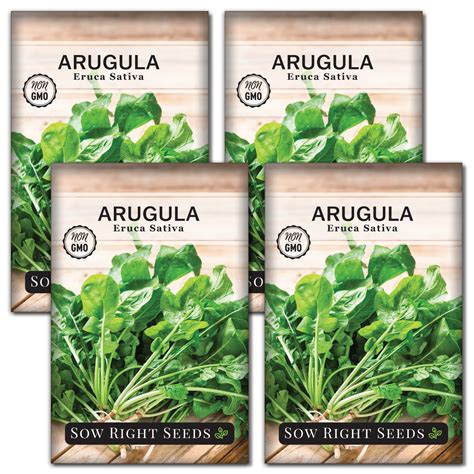 Arugula Seeds For Planting Non Gmo Heirloom Varieties For Your Home