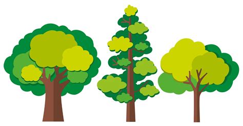 Different Types Of Trees