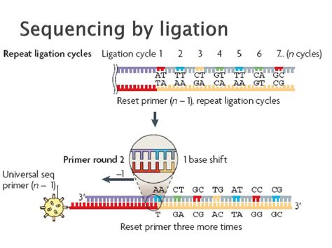 Ppt Next Generation Dna Sequencing Technologies Theory And Practice Powerpoint Presentation