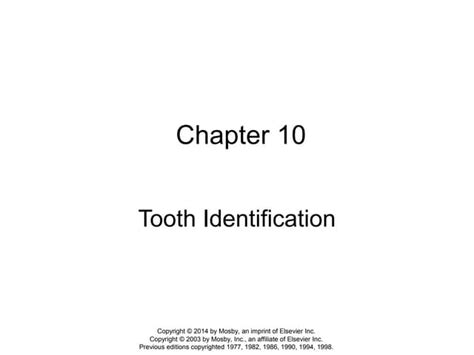 Oral Anatomy Tooth Identification Pptx