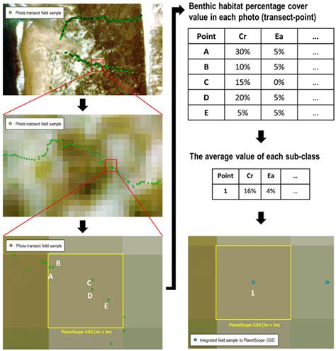 Schematic Diagram On How To Develop The Seagrass Biodiversity Indicator