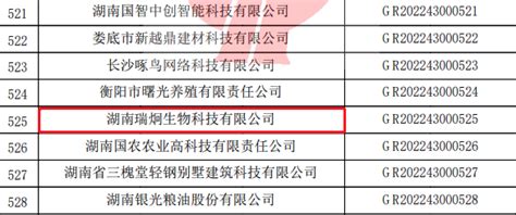 喜报，湖南瑞炯荣获湖南高新技术企业荣誉称号 瑞炯医疗器械（上海）有限公司