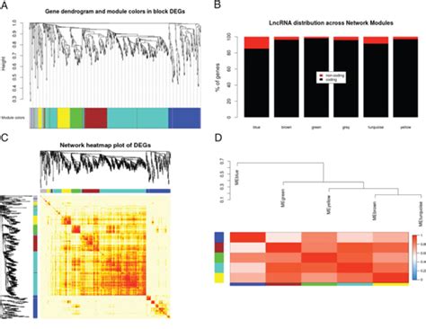 Identification Of Novel Long Non Coding Rnas Using Rna Seq Rna Seq Blog
