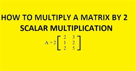 How To Multiply A Matrix By Scalar Matrix Multiplication