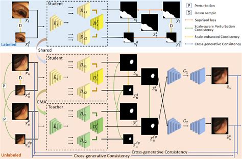 Figure 1 From Dual Scale Enhanced And Cross Generative Consistency Learning For Semi Supervised