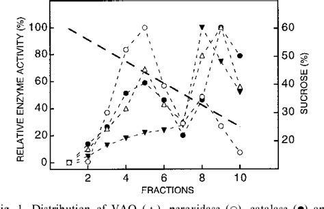 Figure 1 From University Of Groningen Subcellular Localization Of