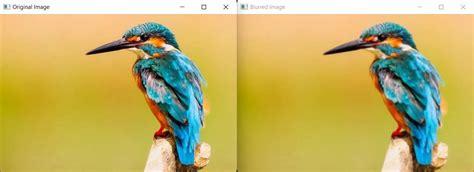 open cv basic image processing functions and detection by pranay patel medium