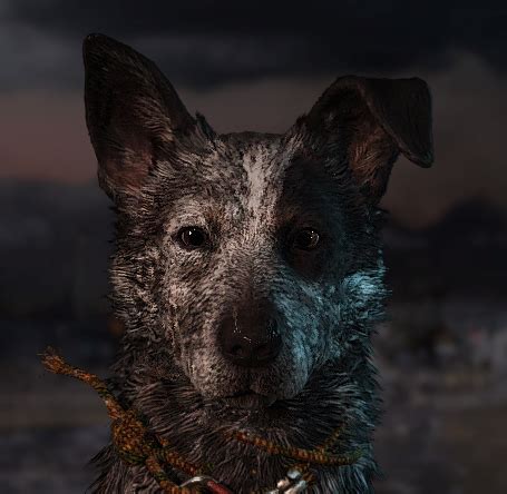 Boomer Far Cry Wiki Fandom Powered By Wikia