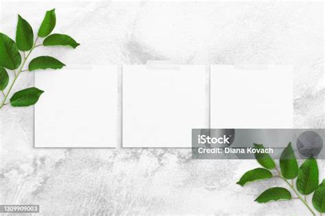 스카치 테이핑된 종이의 흰색 사각형 수채화 시트와 콘크리트 배경에 나뭇가지가 있는 나뭇가지의 구성 벽에 광고 모형 플랫 레이 상단 뷰 복사 공간 가지 식물 부위에 대한 스톡