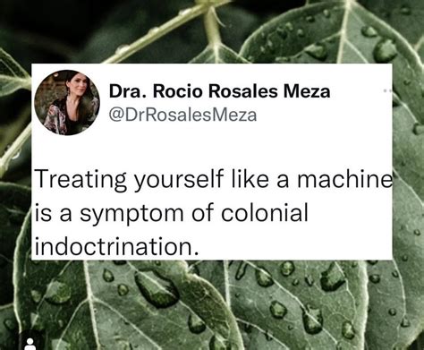 Colonialindoctrination Decolonizeyourmind Saniya Siddiqui