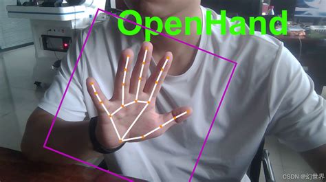 【智能模型系列】基于unity和mediapipe【手部追踪手势识别】系统开发指南mediapipe Unity支持的手势类型 Csdn博客
