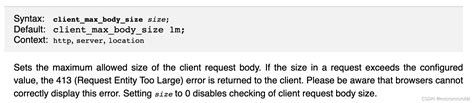 【nginx】解决413错误nginx 413 Csdn博客