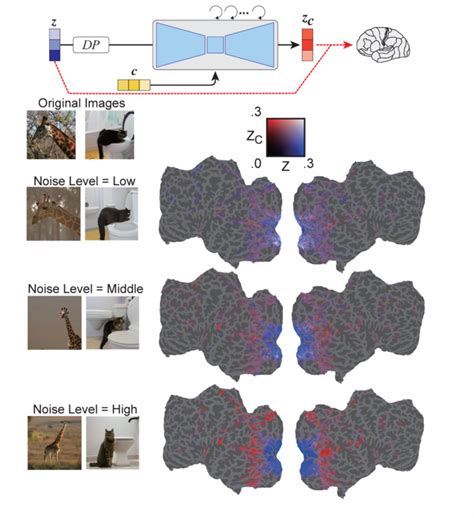 Stable Diffusion Was Used To Create Images Based On Peoples Brain