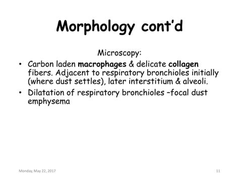 Coal Workers Pneumoconiosis Pdf