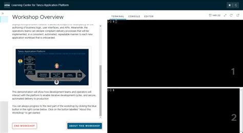 Hadi Khani Fijani On Linkedin Tanzu Application Platform Overview Interactive Demo Hol