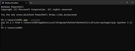 Python Setuppy Egginfo Error Code Solution Master Data Skills Ai