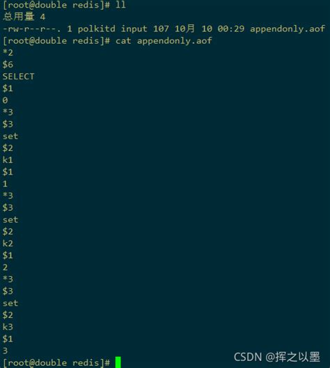 【redis实践】（一）使用docker安装redis并配置持久化策略redis Privileged Csdn博客
