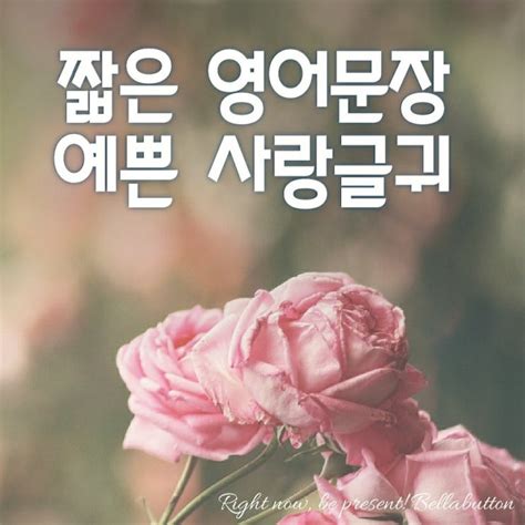 짧은영어문장 사랑글귀 예쁜 영어문구 8가지 네이버 블로그