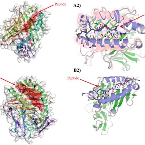Evaluation Of Gfp B L2 Gfp C And L1 Gfp D Dna Delivery Into Download Scientific Diagram
