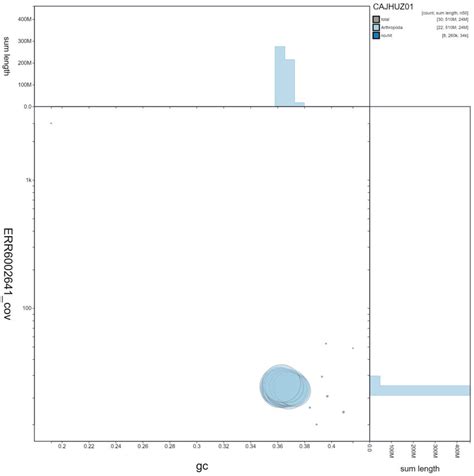genome assembly of euproctis similis ileupsimi1 1 gc coverage