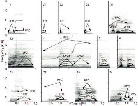 Spectrograms Scales Standardized Fft 4096 Window Type Hann Of All
