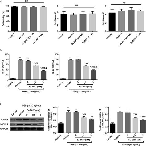 α DHT regulates MAPK and MAPK to suppress Th inflammation in Download Scientific Diagram