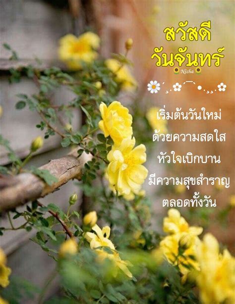 𝓜𝓸𝓷𝓭𝓪𝔂 🌻 มีความสุข สุขสันต์วันจันทร์ สวัสดีตอนเช้า