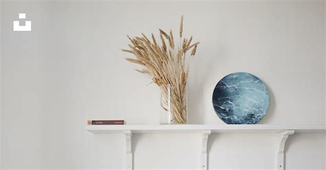 파란색 지구본과 선반에 식물이 있는 흰색 벽 사진 Unsplash의 무료 실내 이미지