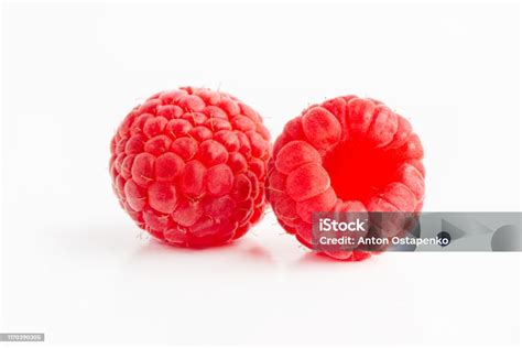 디자인 클로즈업 매크로를 위해 흰색 고립 된 배경에 두 개의 신선한 라즈베리 0명에 대한 스톡 사진 및 기타 이미지 0명 계절 과일 Istock