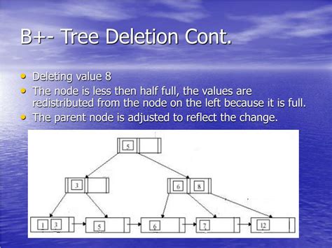 Ppt B Trees And B Trees Powerpoint Presentation Free Download Id3029460