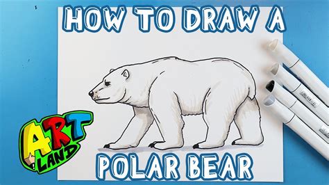 Drawing A Polar Bear