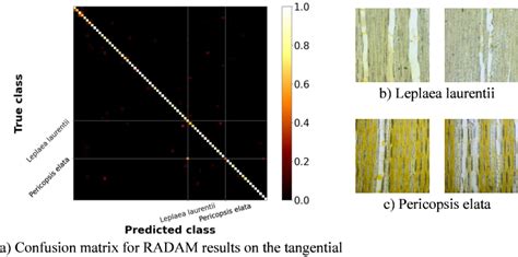 Figure 8 From Advanced Wood Species Identification Based On Multiple Anatomical Sections And