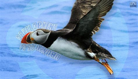 Ubuntu 25 04 Daily Builds Are Now Available Omg Ubuntu