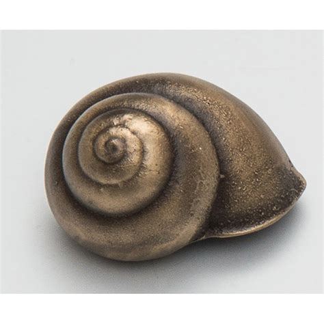 Different Snail Shells