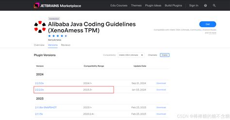 Idea20231插件：alibaba开发规范idea 阿里巴巴规范插件 Csdn博客