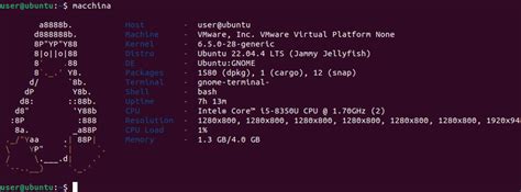 Linuxs Coolest Terminal Tool Is Dead Heres What To Use Instead