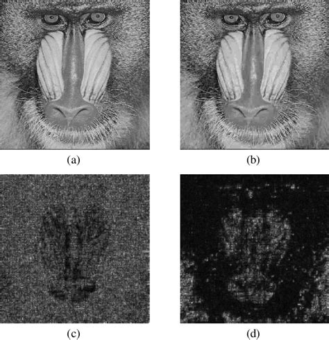Figure 2 From Which Semi Local Visual Masking Model Forwavelet Based Image Quality Metric
