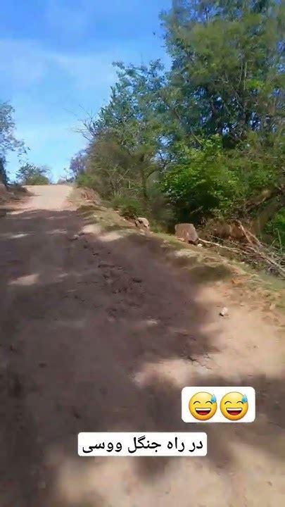 طبیعت بومگردی جنگل حیاتوحش بقاء دلار طنز رفیققدیمی درخت