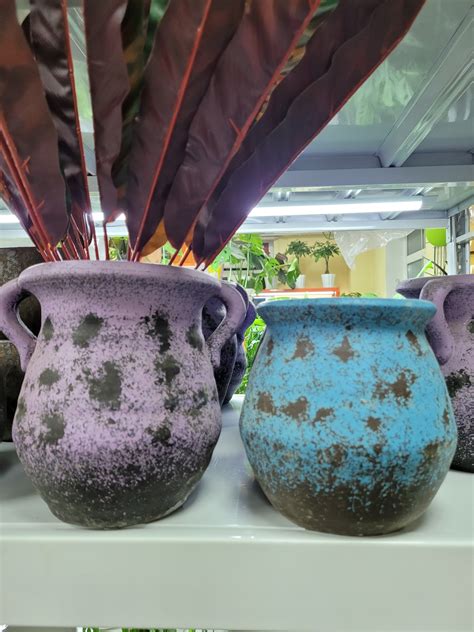 Аз жаргалтай цэцэгс Added A New Photo Аз жаргалтай цэцэгс