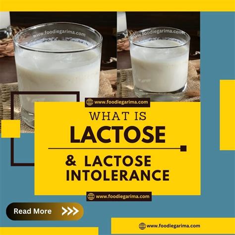 Fermentation Process Of Curd Foodie Garima