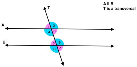 Same Side Interior Angles Explained — Mashup Math