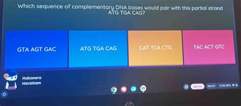 Solved Which Sequence Of Complementary Dna Bases Would Pair With This Partial Strand Atg Tga