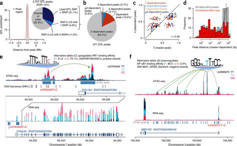 Fine Mapping Cellular Qtls With Rasqual And Atac Seq Rna Seq Blog