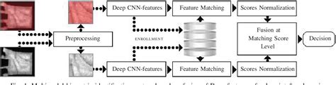 Figure 1 From An Improved Multispectral Palmprint System Using Deep Cnn